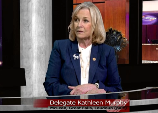 Delegate Kathleen Murphy on Your Need to Know - Read. Think. Act.